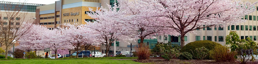 Contact Division of Nephrology and Hypertension | OHSU