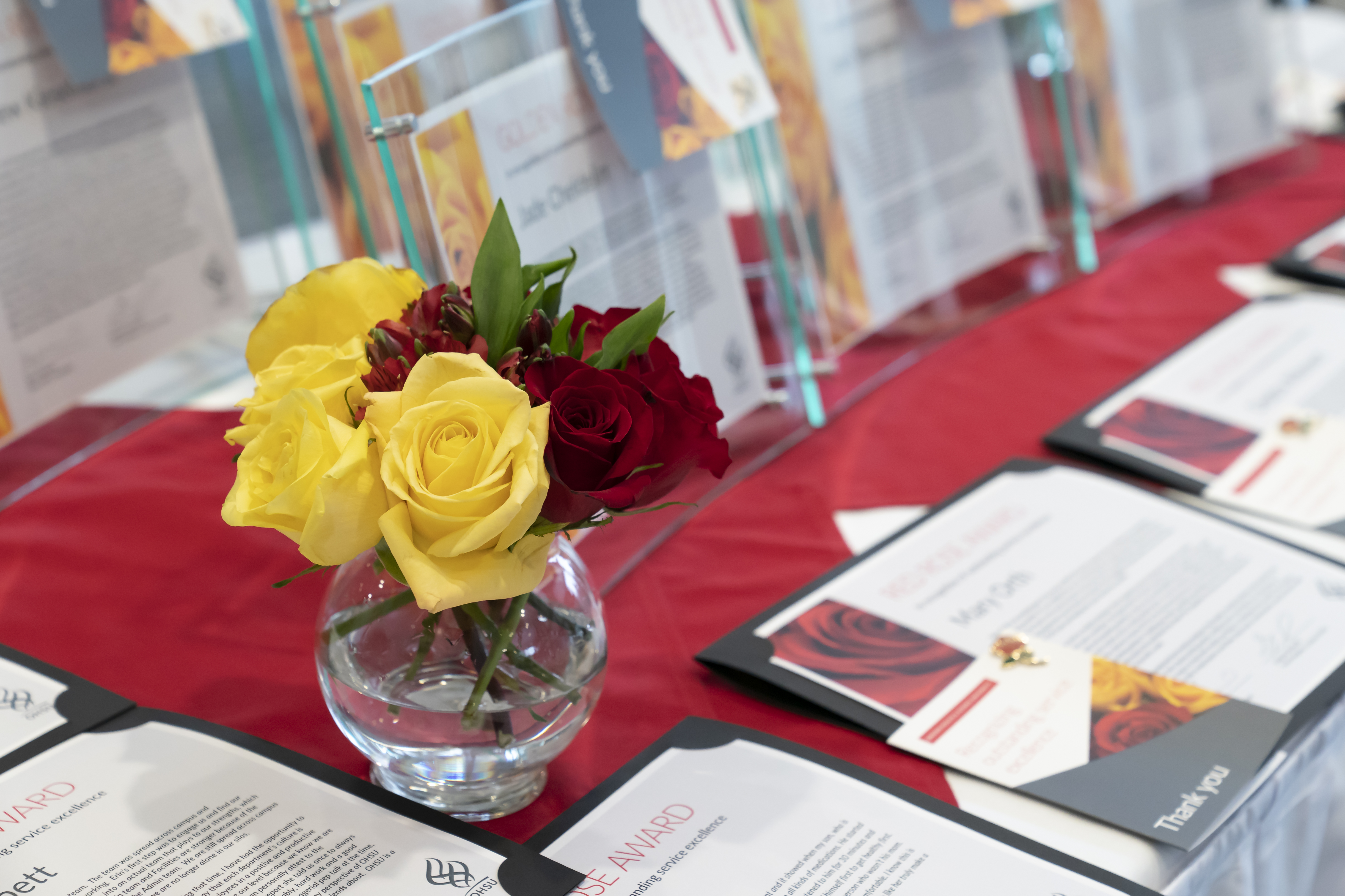 Pathways of Excellence | OHSU