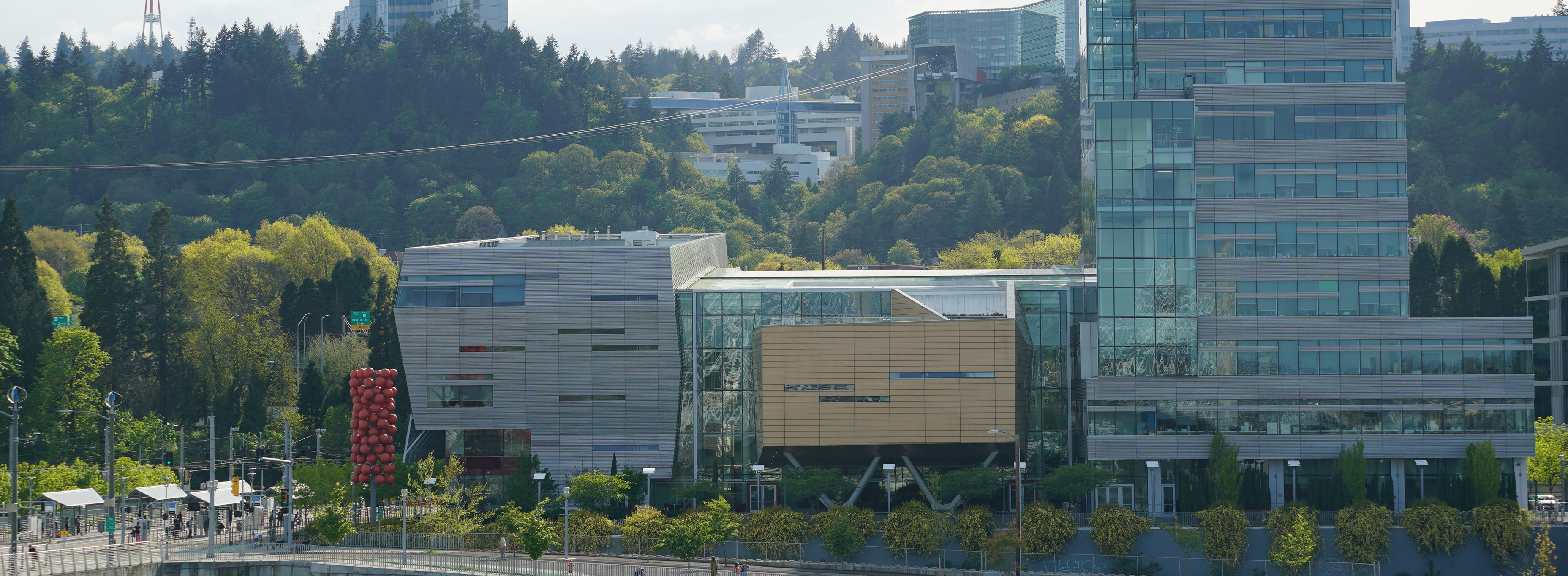 Student OHSU Student OHSU