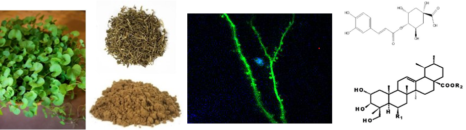 Nora Gray Lab | OHSU