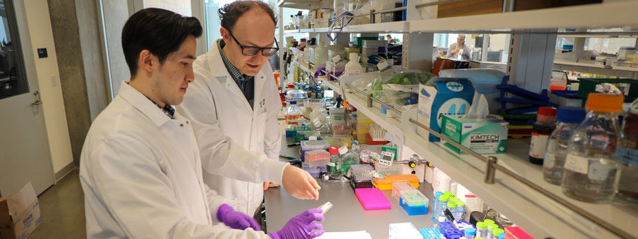 Cancer Research Education and Training | OHSU